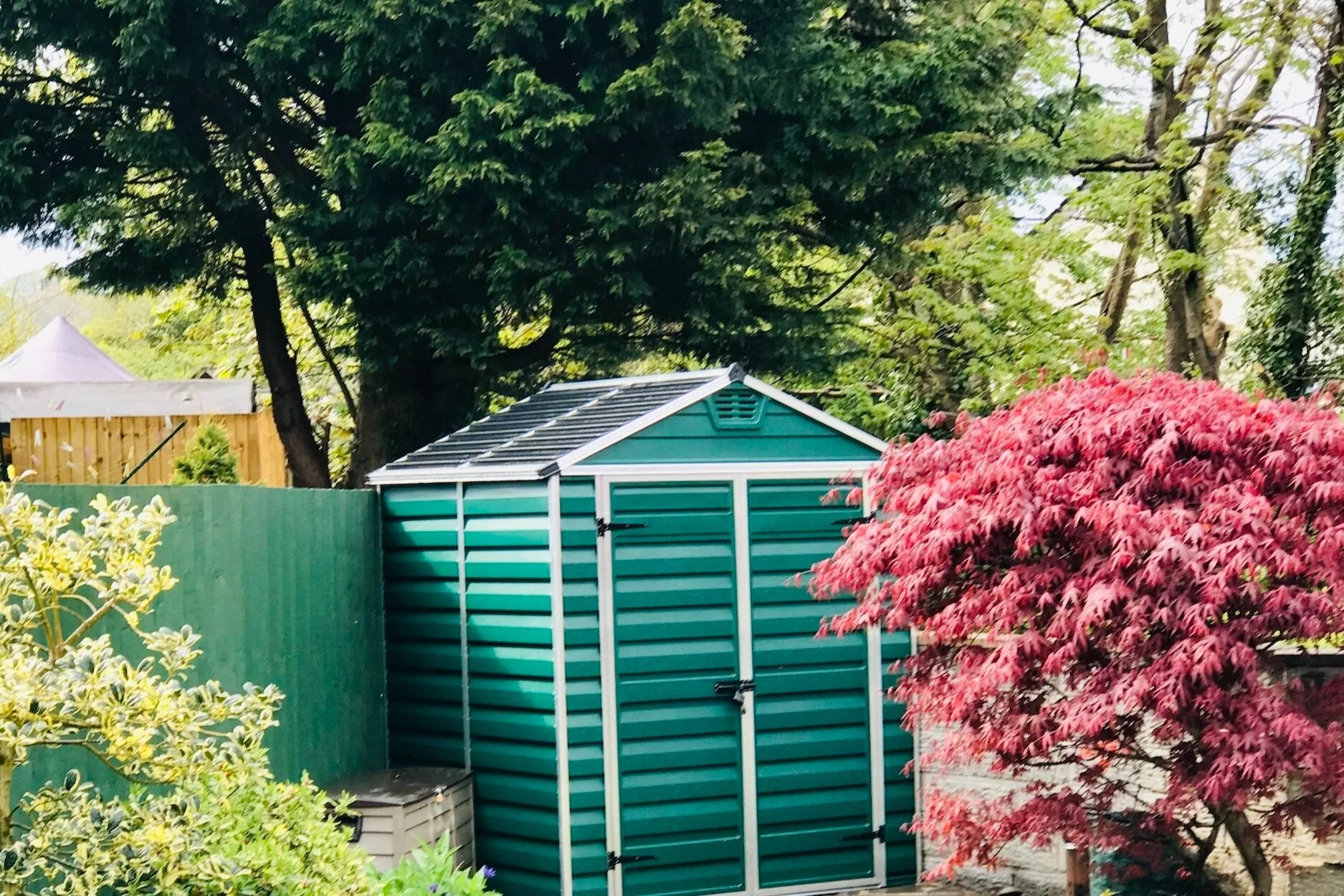 International Tree Foundation