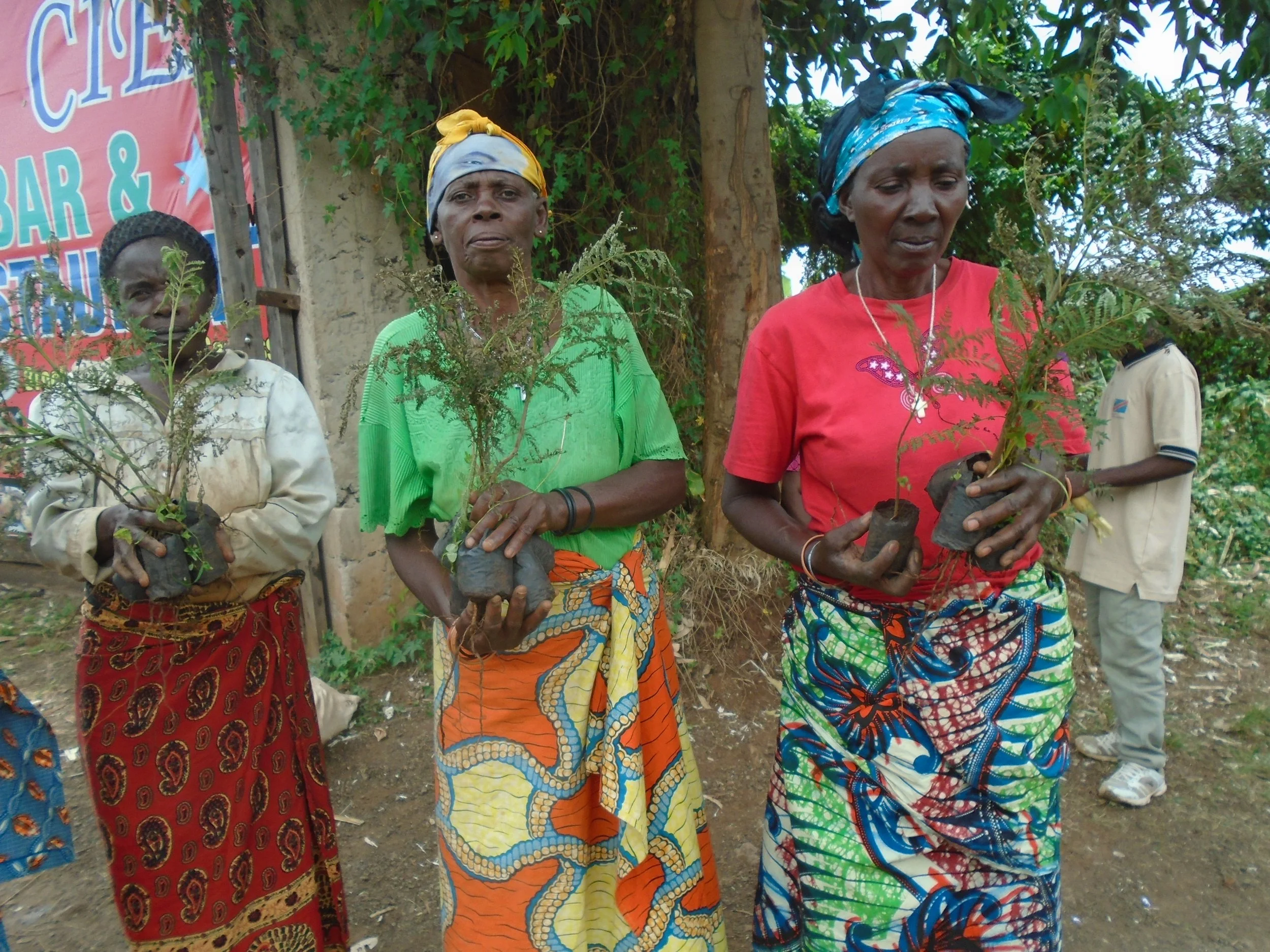 Project update: Afforestation in favour of repatriated women ...