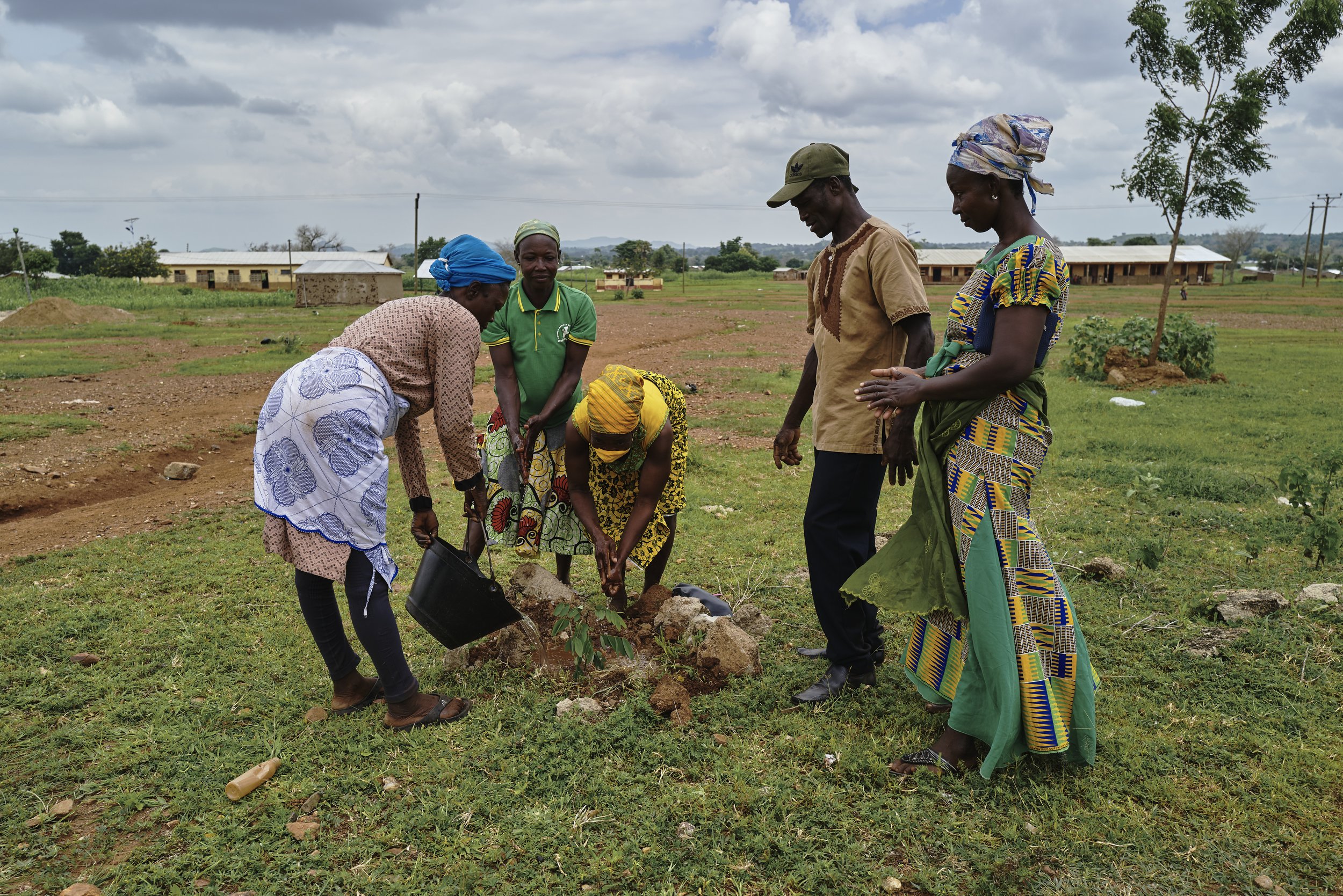 International Tree Foundation