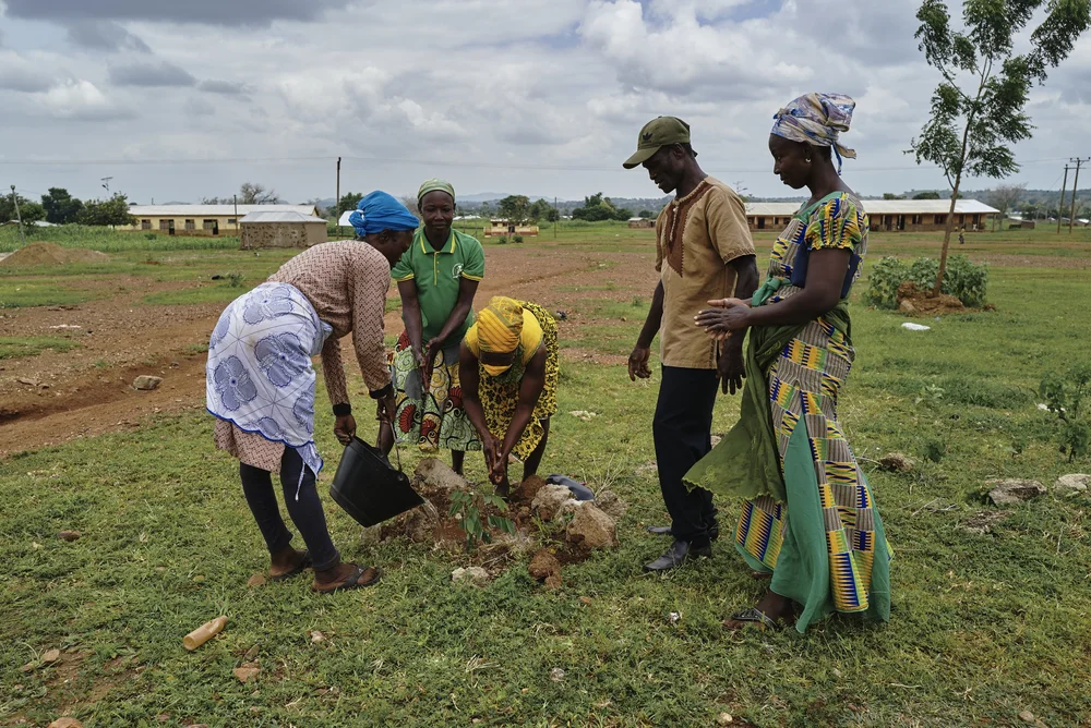 International Tree Foundation