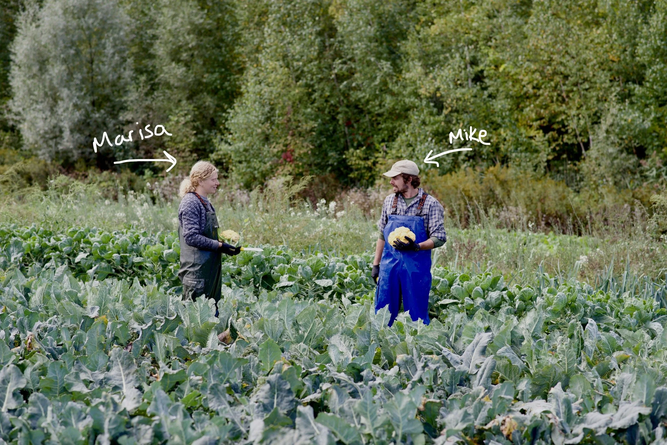 NORTH POINT COMMUNITY FARM
