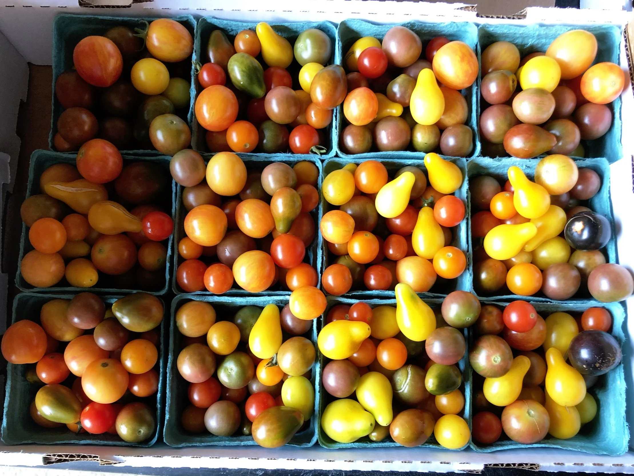 NORTH POINT COMMUNITY FARM