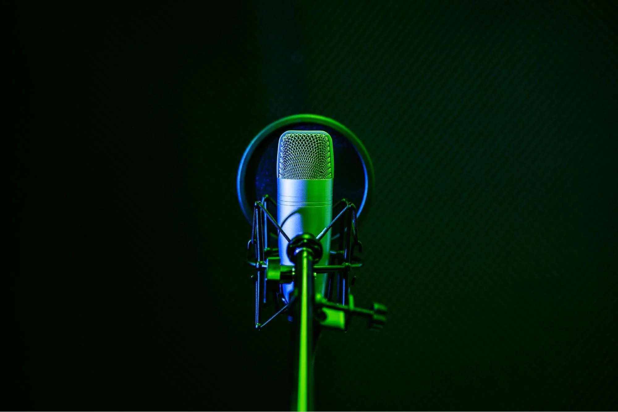 Lorrie Grant, Voice actor — Lorrie Grant