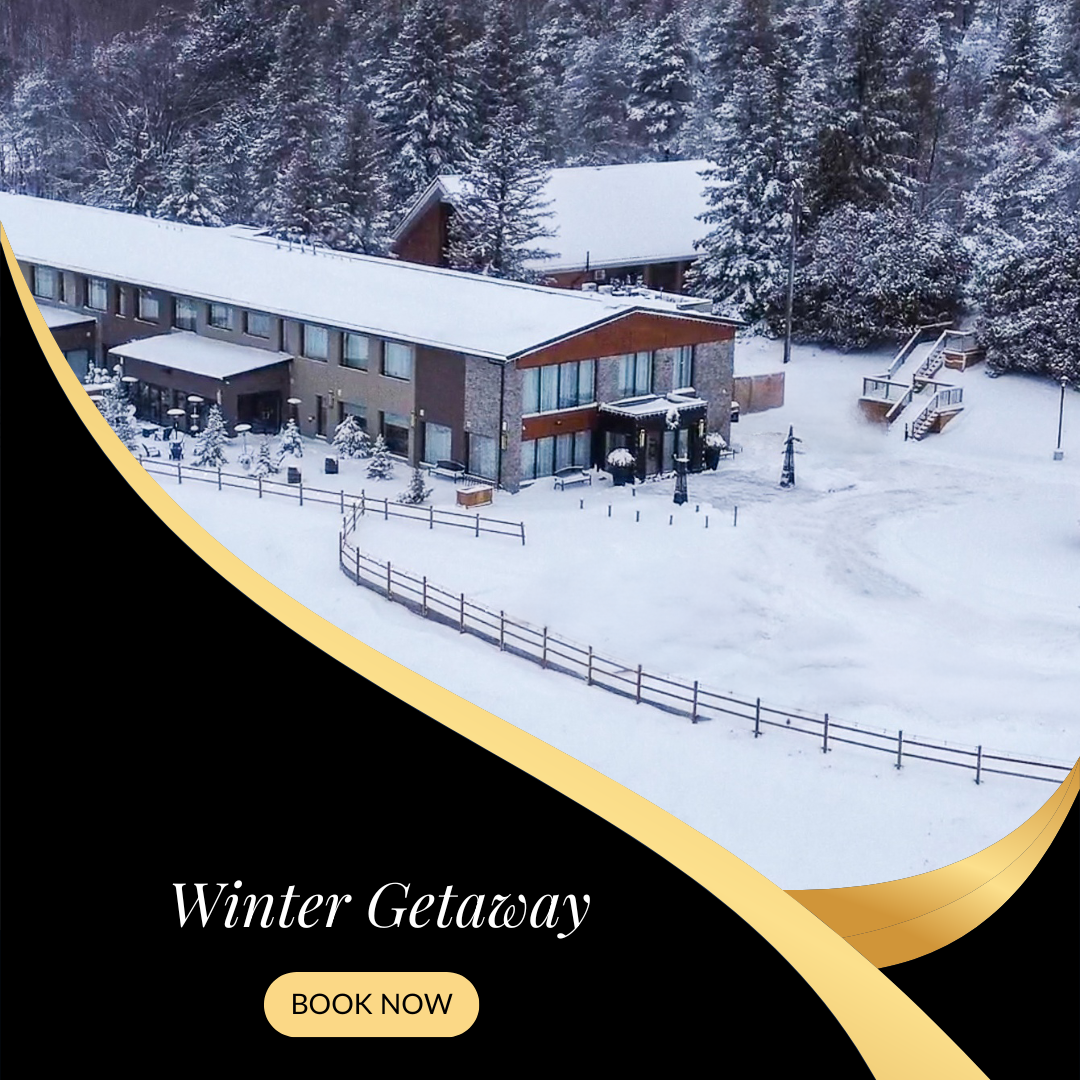 Mount Alverno Stay Packages — Mount Alverno Luxury Resorts