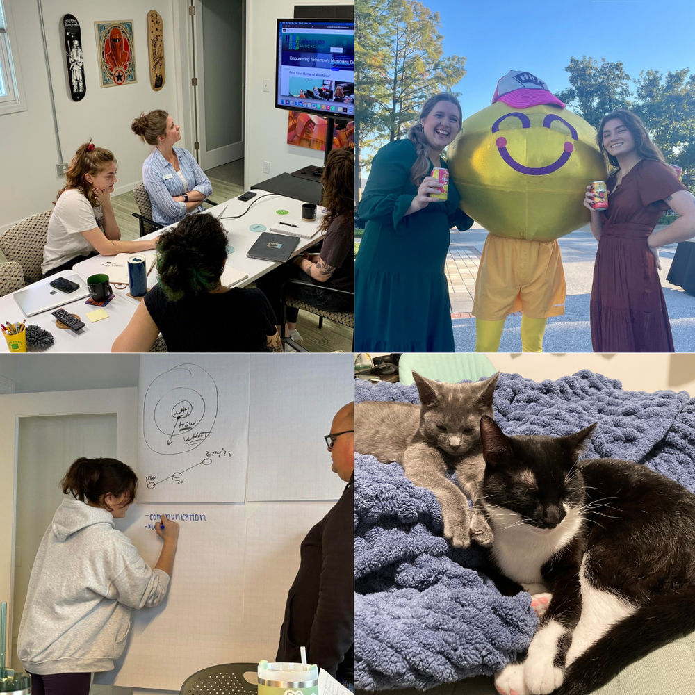 Form VS Function - How Design Impacts Your Brand | Digital Marketing ...