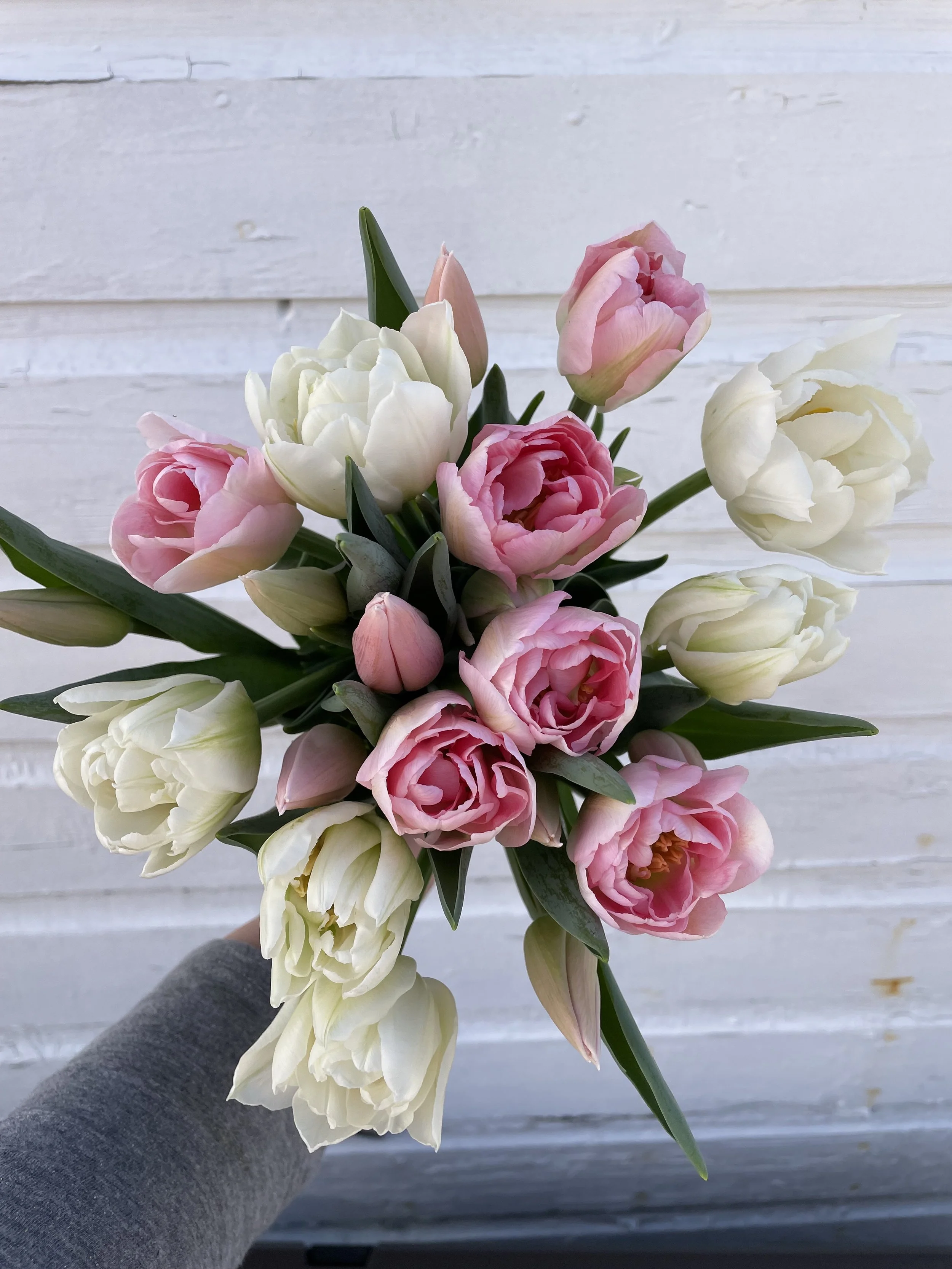 Flower CSA — Rainbow Ridge Flower Farm