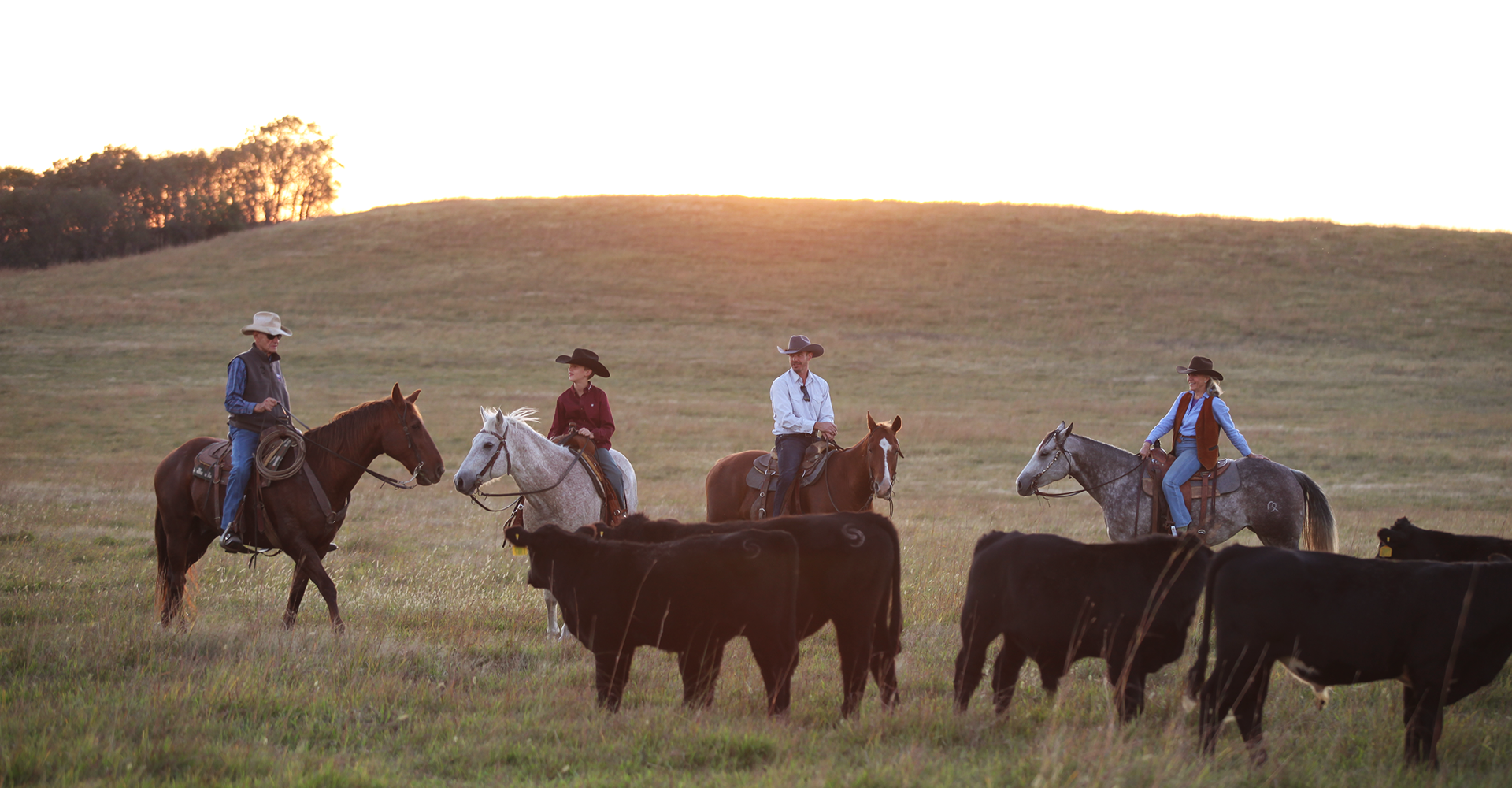 History — Kottke Cattle