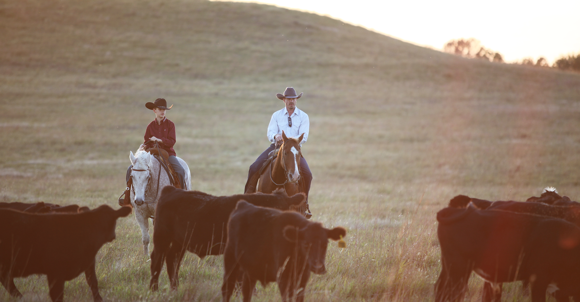 History — Kottke Cattle