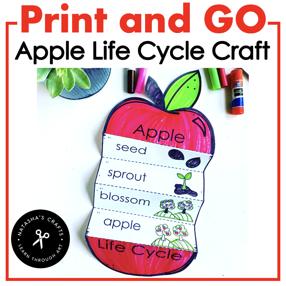Accordion Apple Life Cycle Craft — Natasha's Crafts