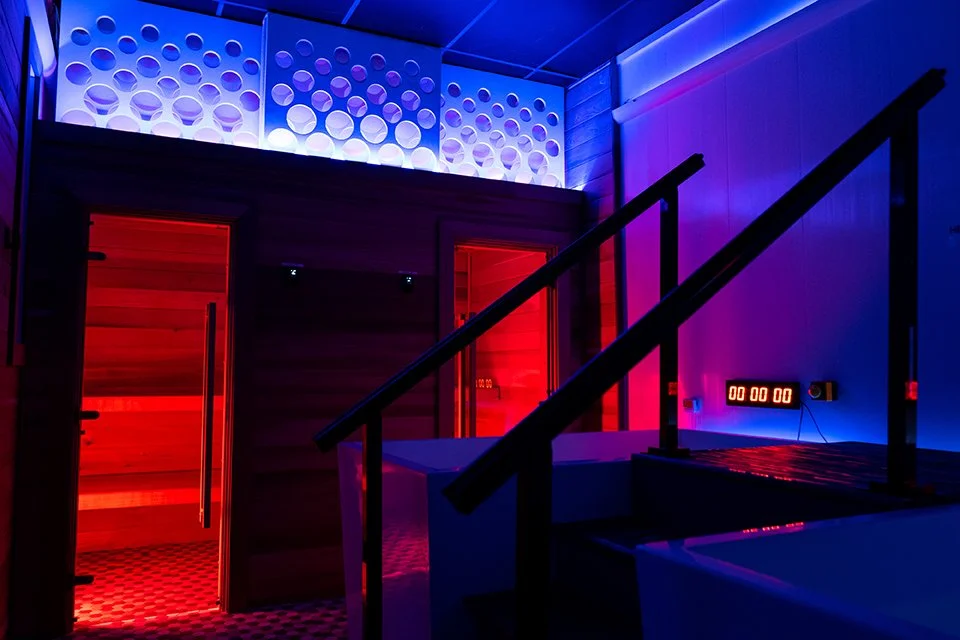 Overview of Services — Evolve Human Optimization Labs