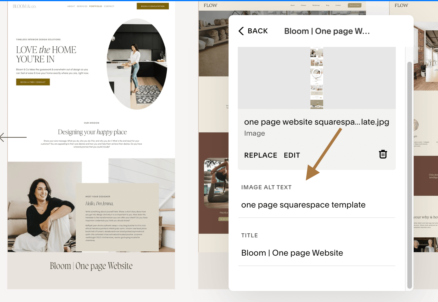 How to Write Alt Text for Accessibility in Squarespace — Birch & Bud ...