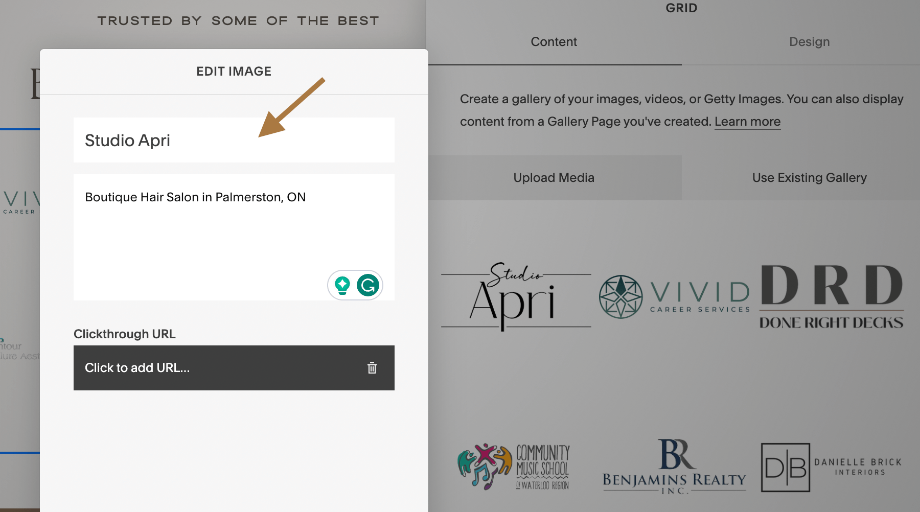 How to Write Alt Text for Accessibility in Squarespace — Birch & Bud ...