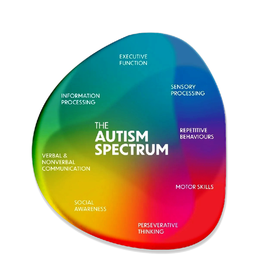 Introduction to Autism: Understanding the Basics — Diverse Innovations