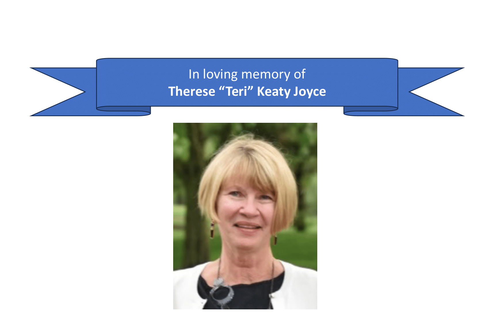 Fisher Falcon Education Foundation