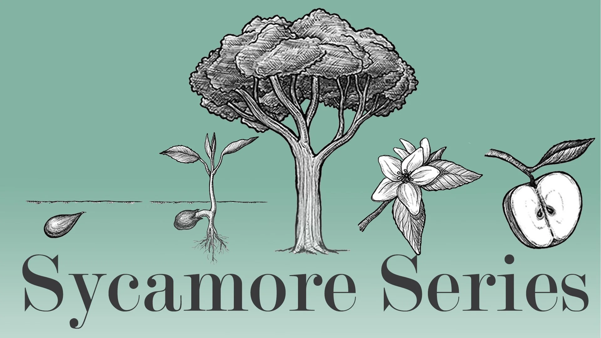 First Baptist Church LAKE CHARLES