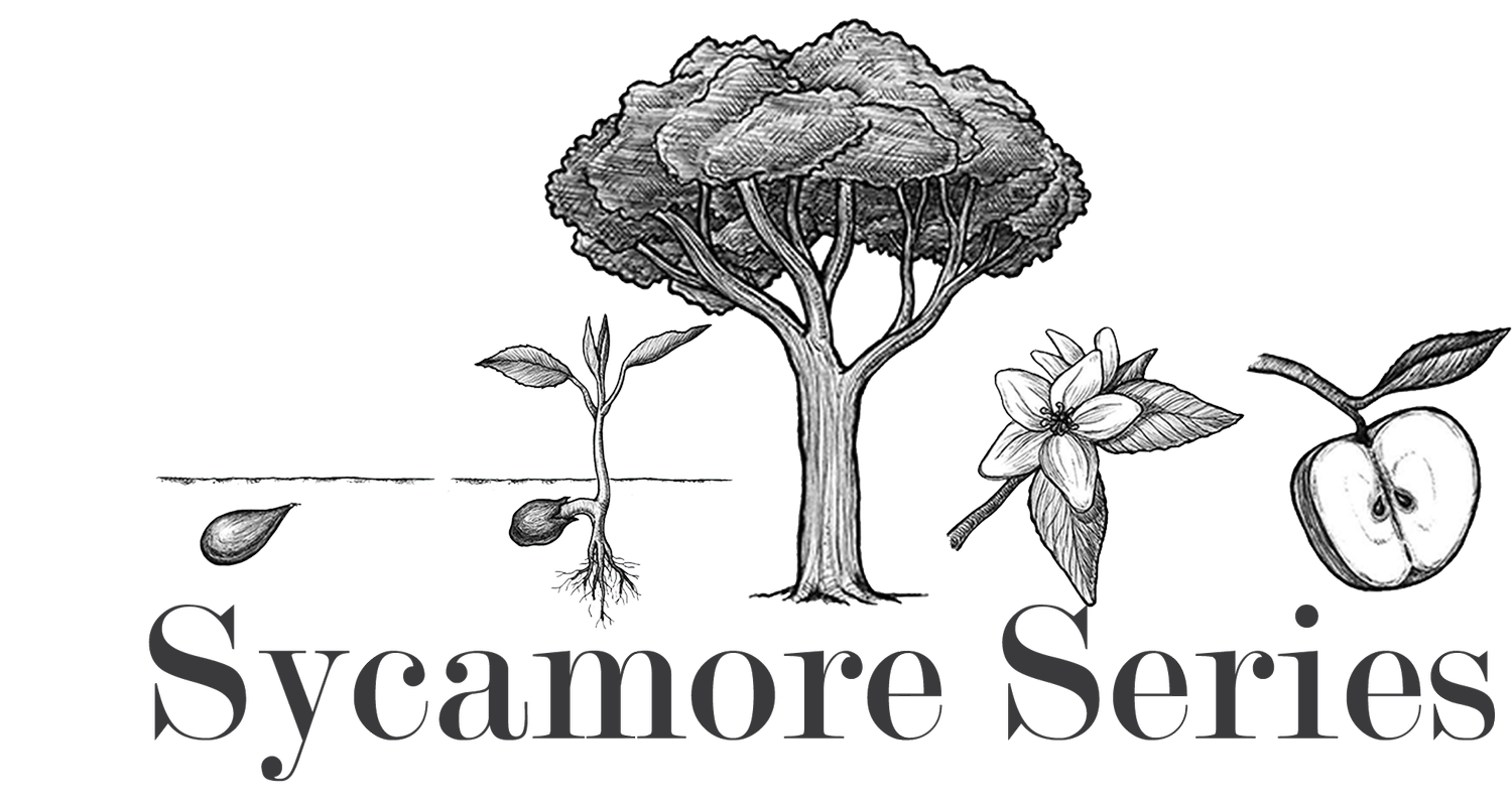 Sycamore Series — First Baptist Church LAKE CHARLES