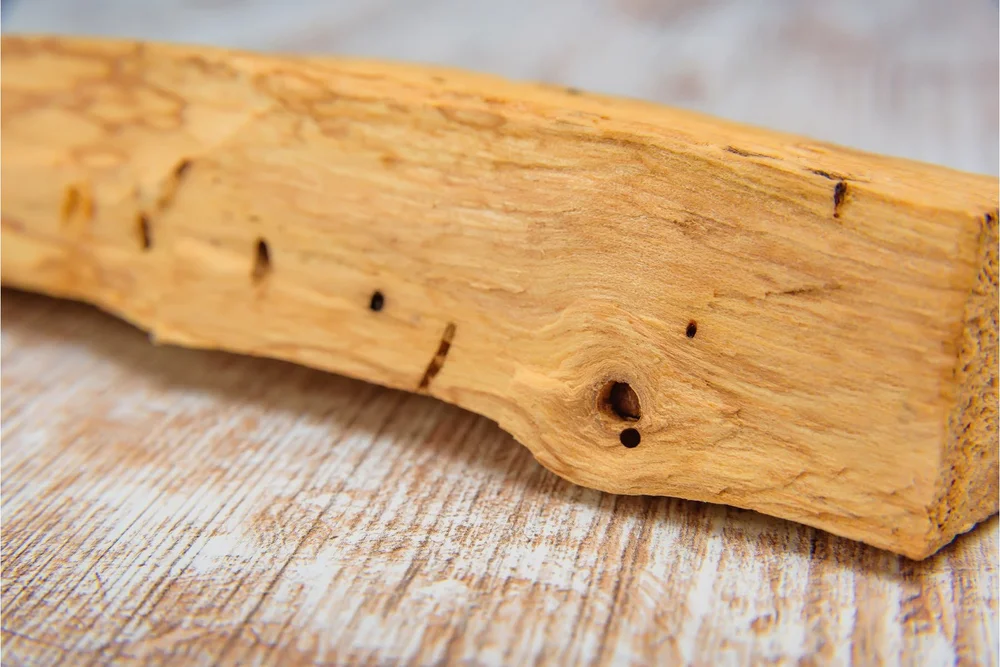 Common Incense Scents and Their Uses — Desktop Tranquility
