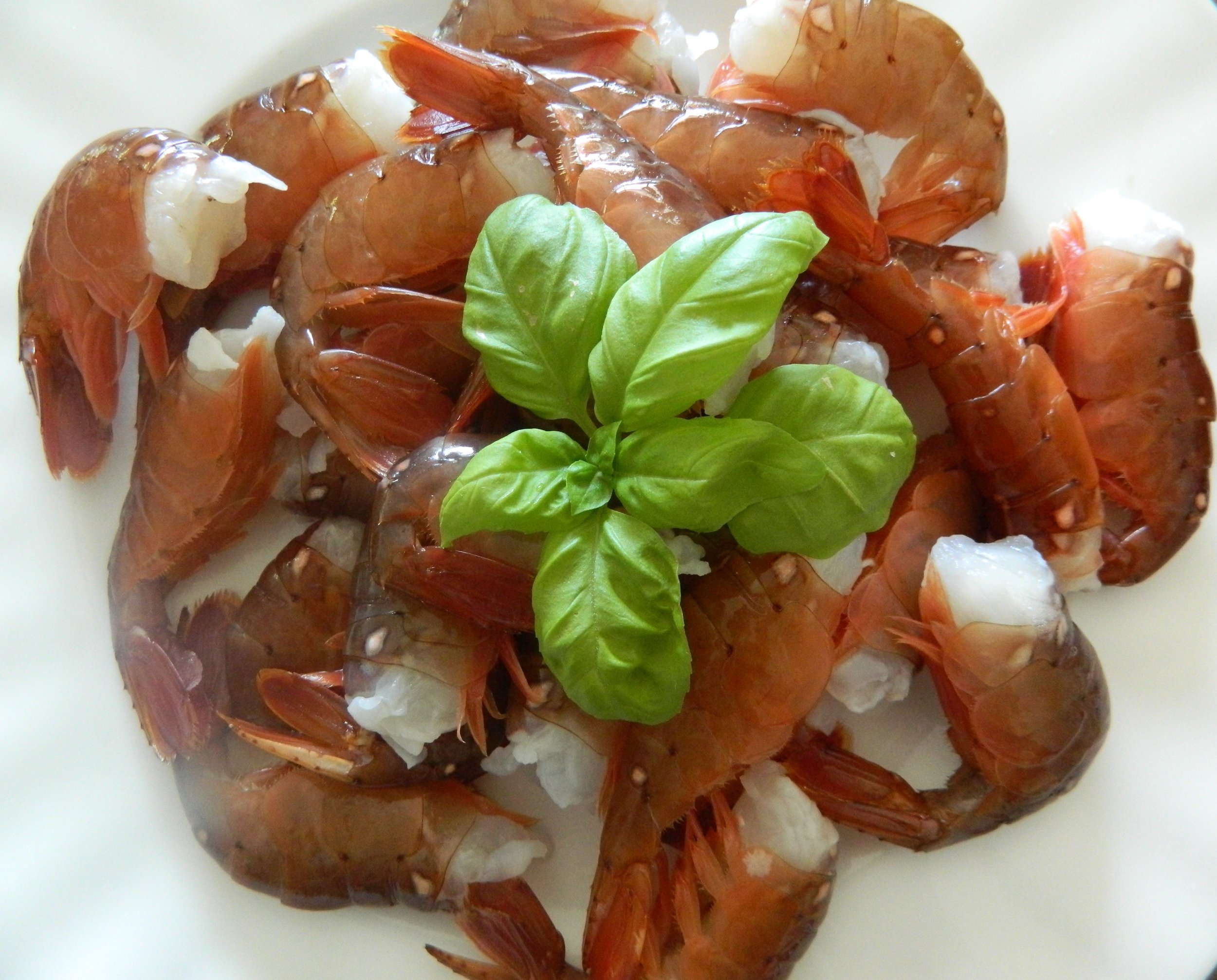Fresh Seafood Products - Spot Prawns, Halibut, Tuna & More — Ocean's ...