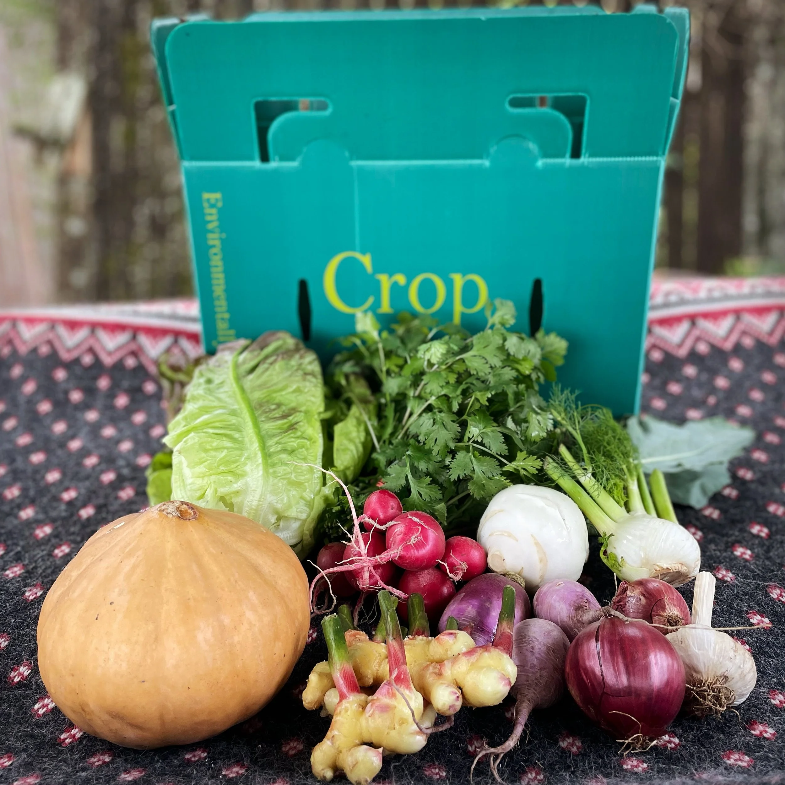 Cooper Creek Farm CSA - Cooper Creek Farm