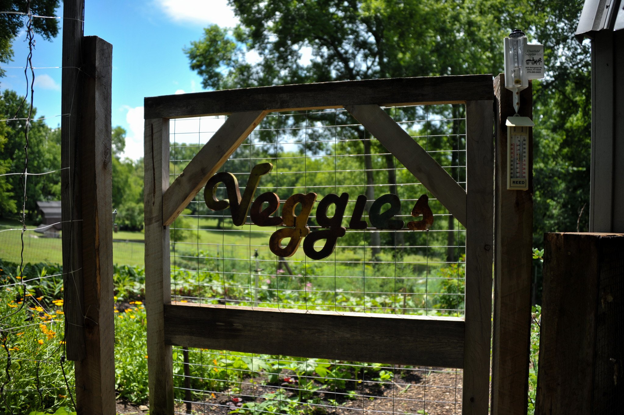 What is a CSA? - Cooper Creek Farm