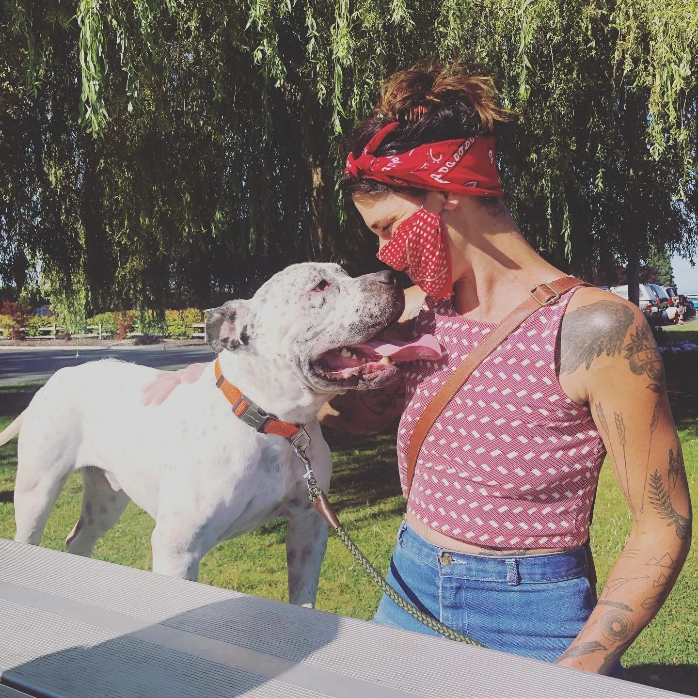 The Pittie Project PNW