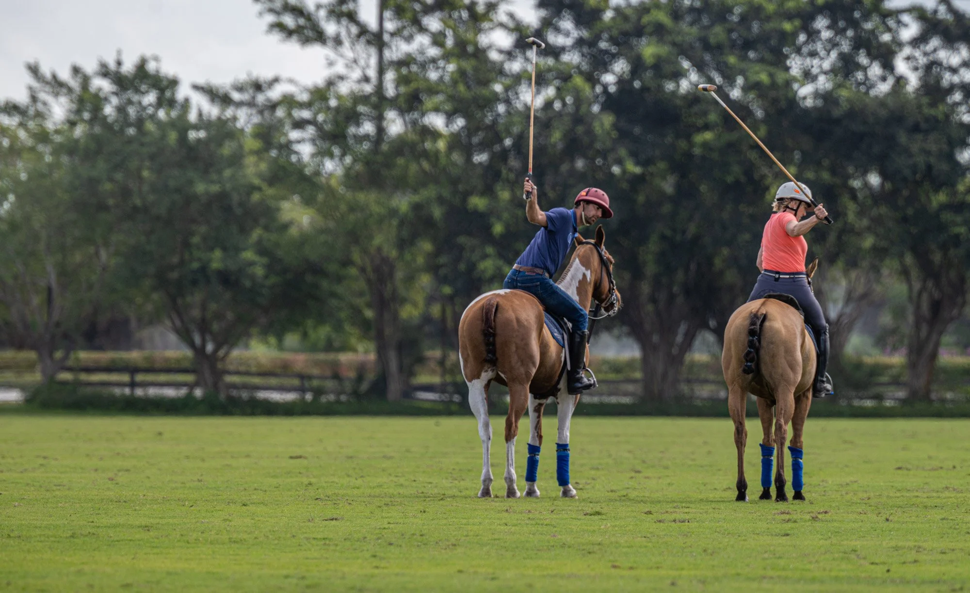 Polo Lessons — Palm Beach Polo School
