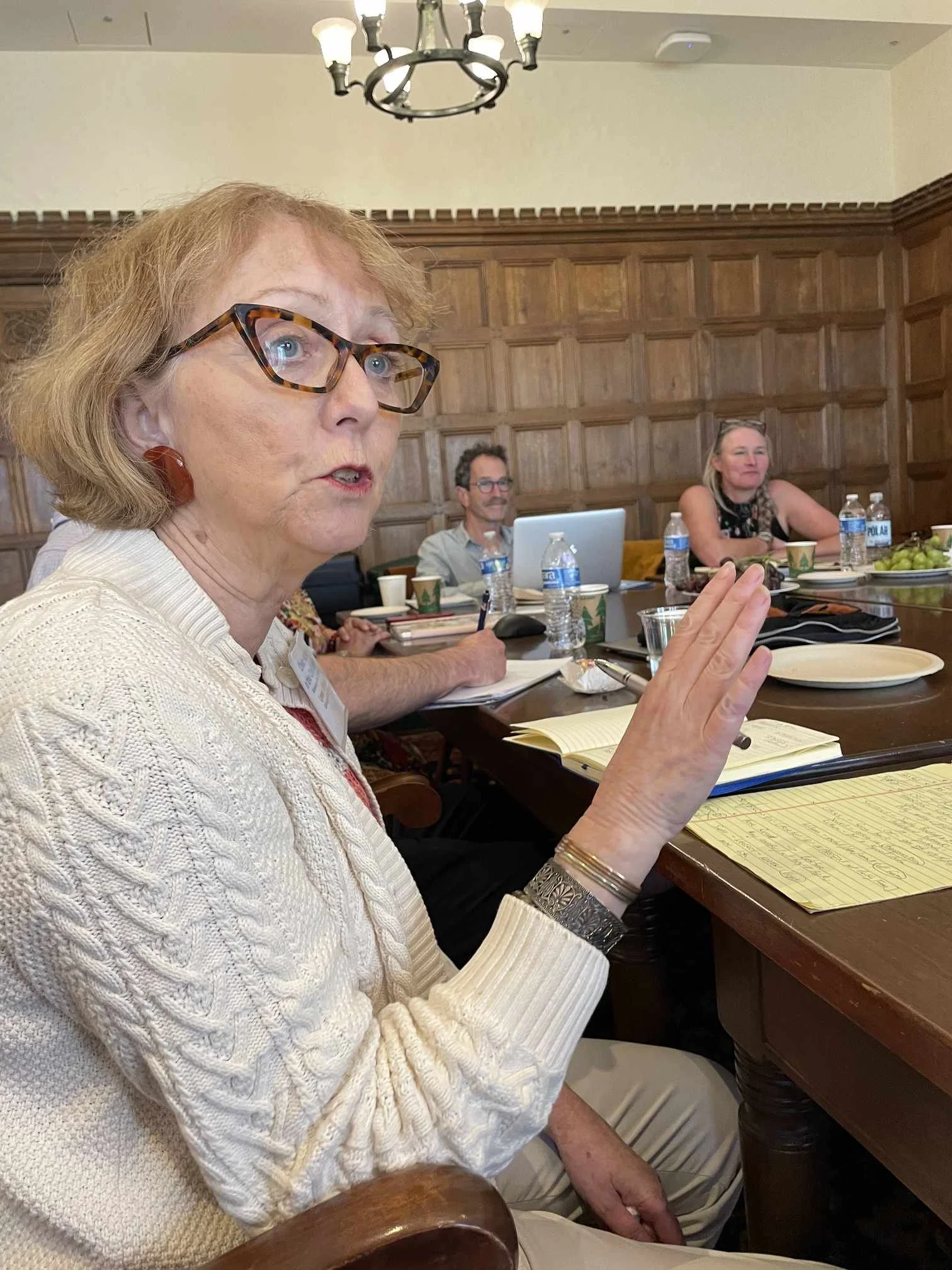 Civic Action in the Civil Sphere ~ Conference and Book Project ...