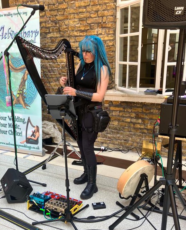 Aelvenharp Weddings — Til Death - Alternative Wedding Collective