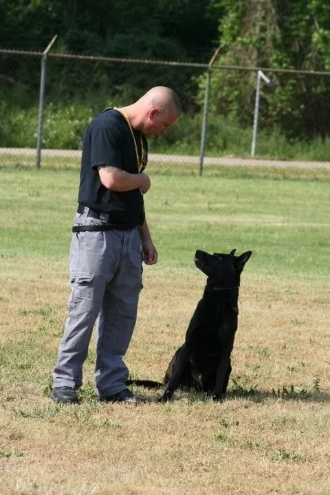 Professional K9