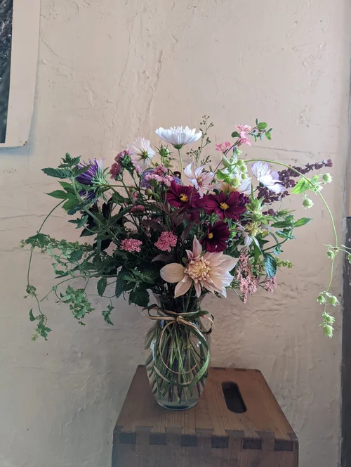 Fleur de Luna