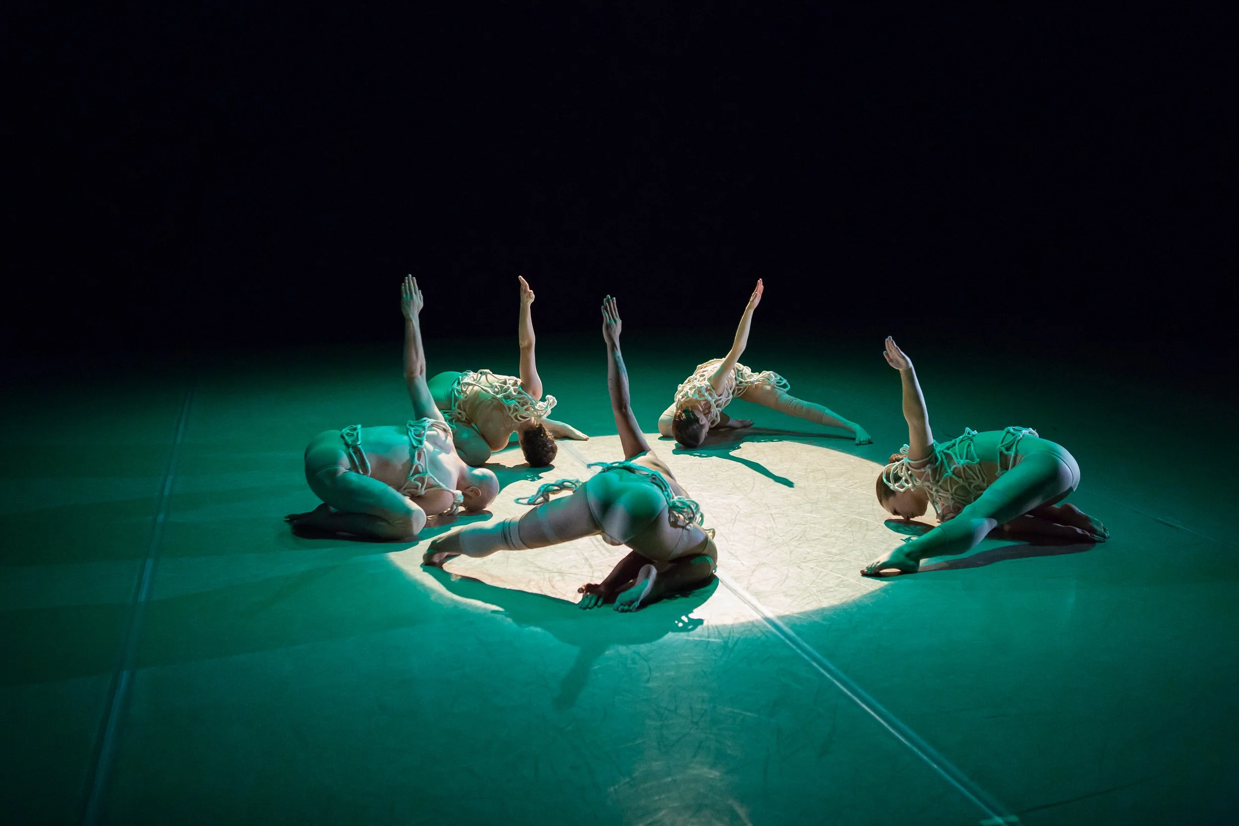 Services 3 — Eryc Taylor Dance