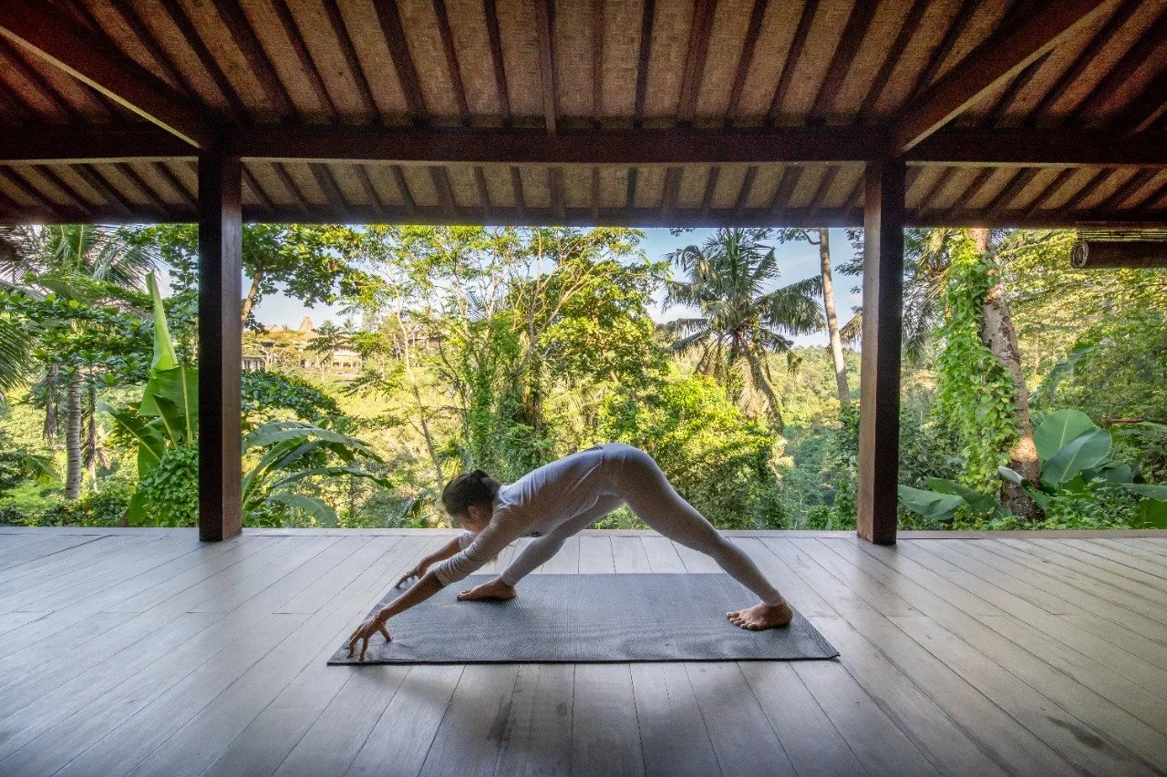 Wellness — The Hidden Paradise Ubud