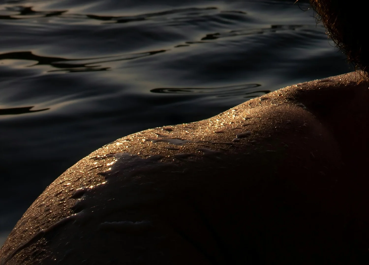 Social Remedy | Social Wellness Club