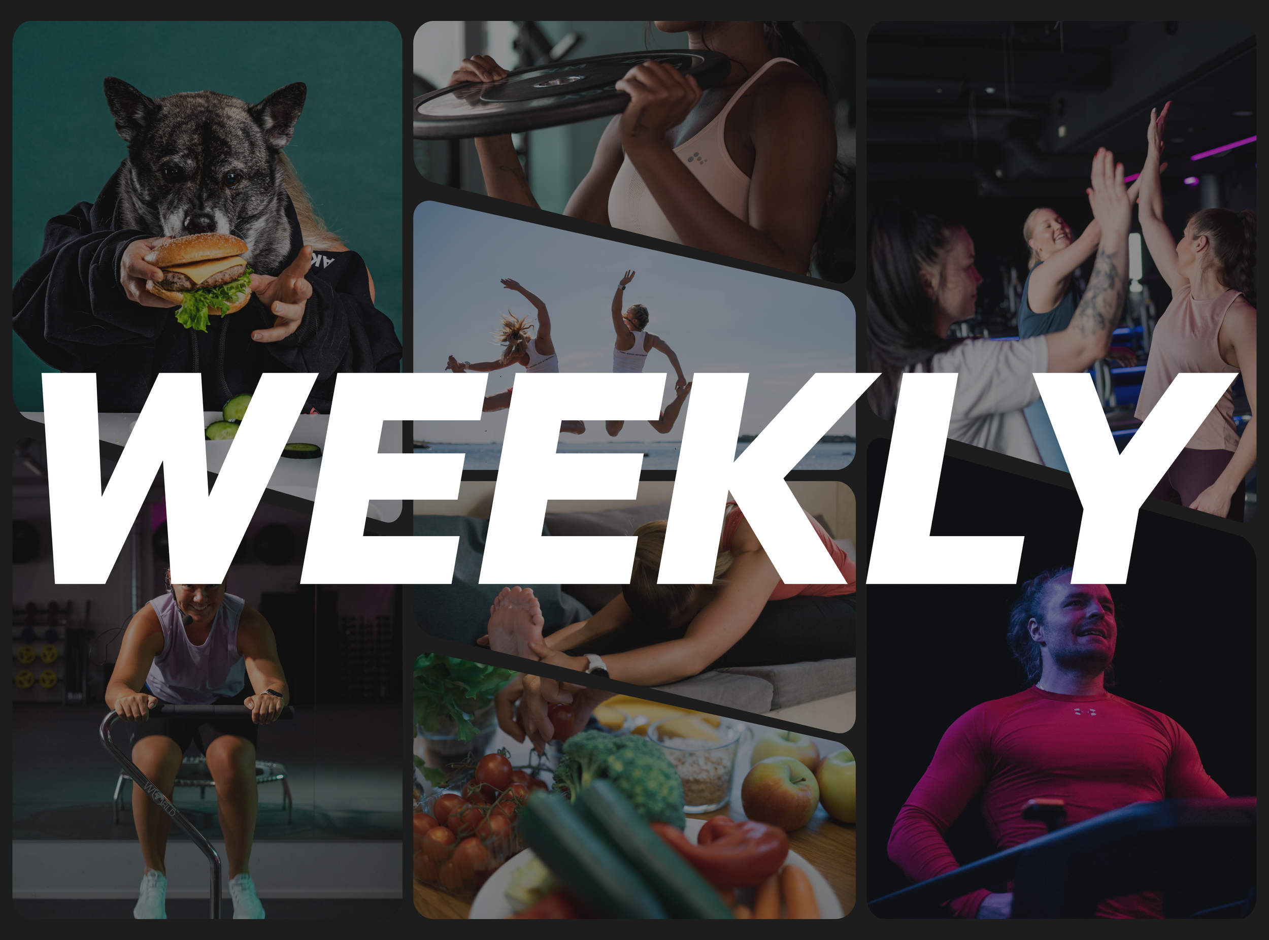 🧠 Trainer4You Weekly – Kesäkuu 2025 — Trainer4You