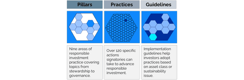 What are the PRI Pathways? | Danesmead Advisory
