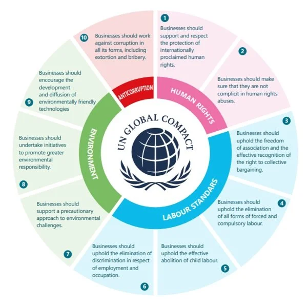 What is the UN Global Compact? | Danesmead Advisory
