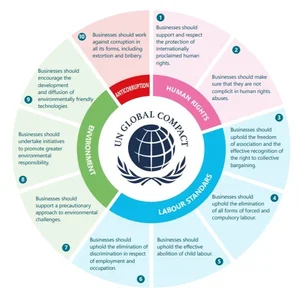 What is the UN Global Compact? | Danesmead Advisory