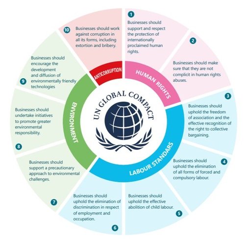 What is the UN Global Compact? | Danesmead Advisory
