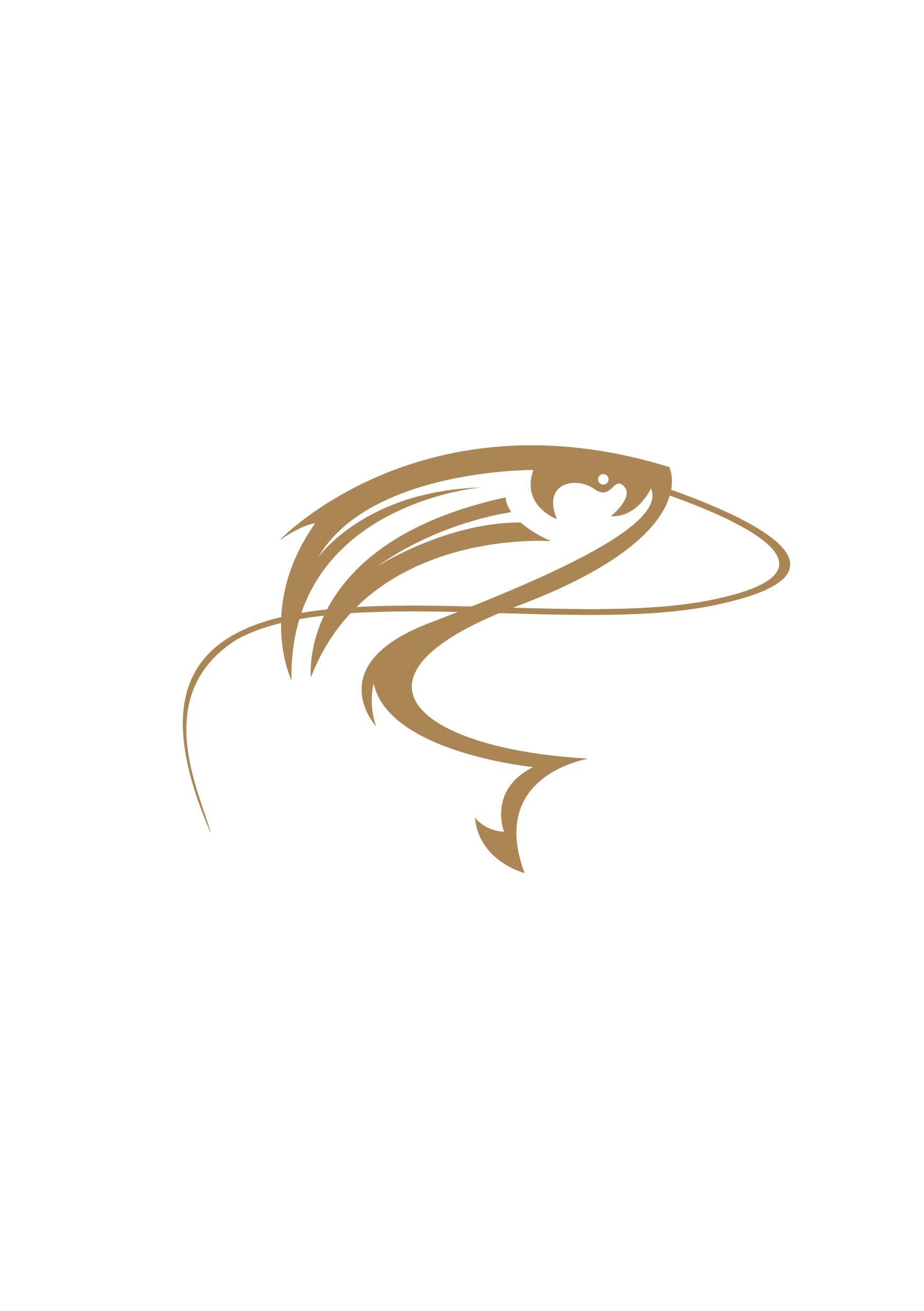 Guided Atlantic Salmon Fishing Trips Scotland River Dee — Nicol Paton ...