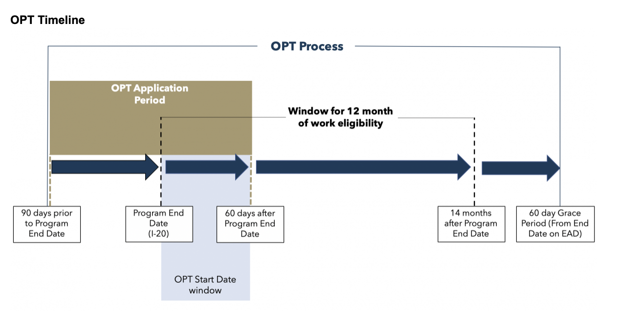 How to avoid OPT Reject? OPT Step-by-step Application Instruction