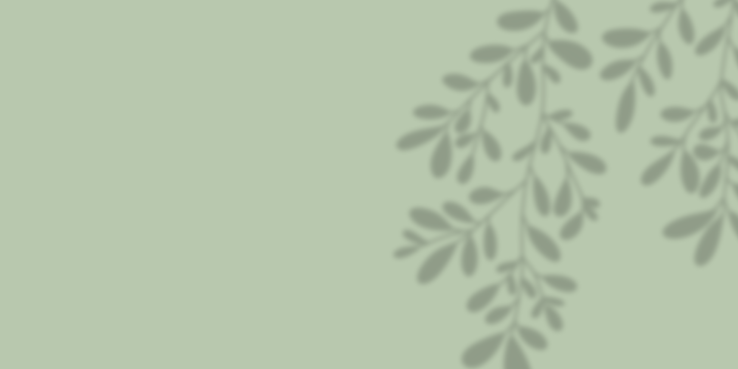 Willow Tree Nursery