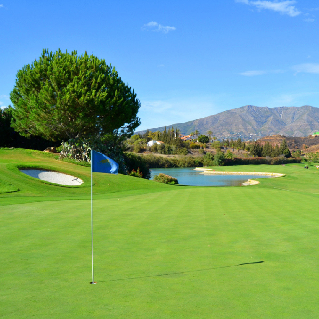 Blog — Iron Lady Golf