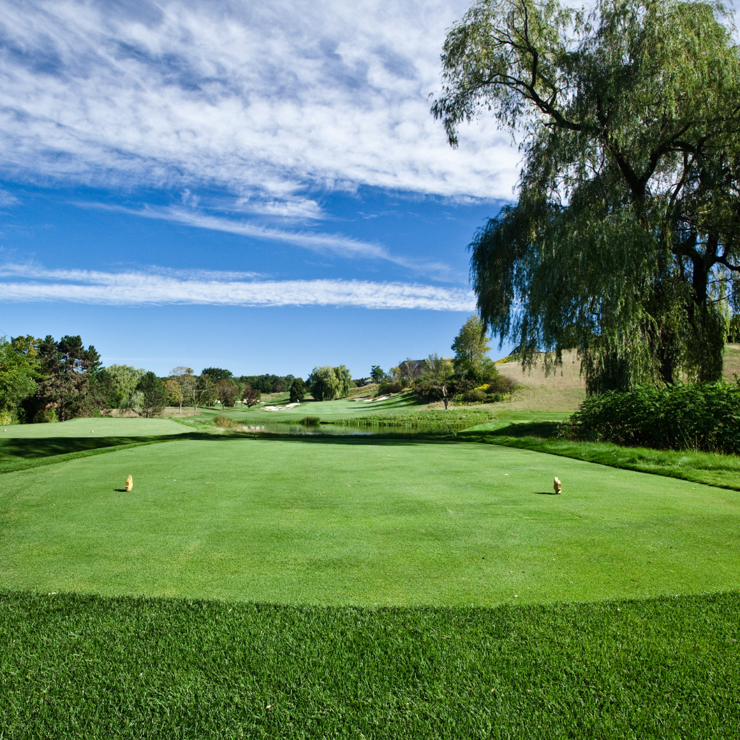Areas of The Golf Course — Iron Lady Golf
