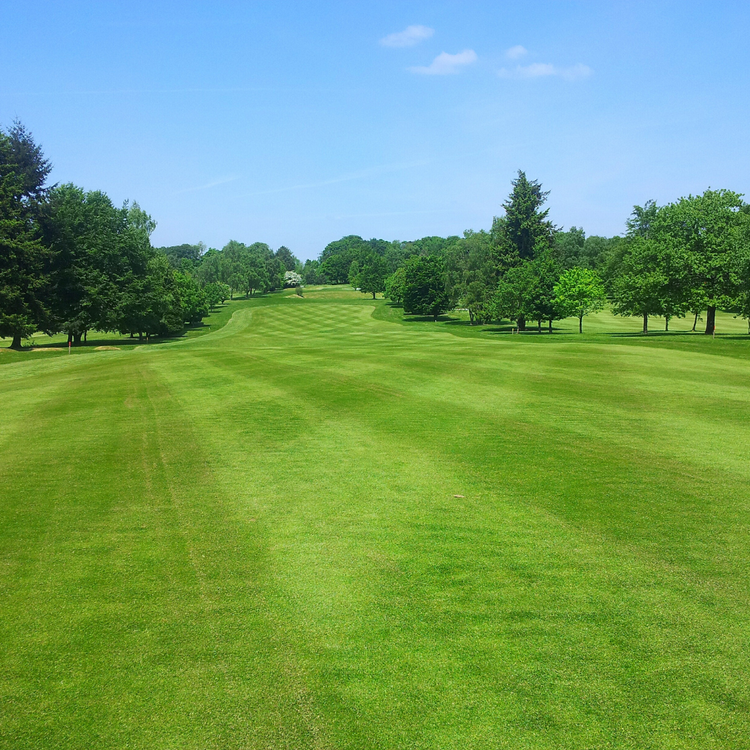 Areas of The Golf Course — Iron Lady Golf
