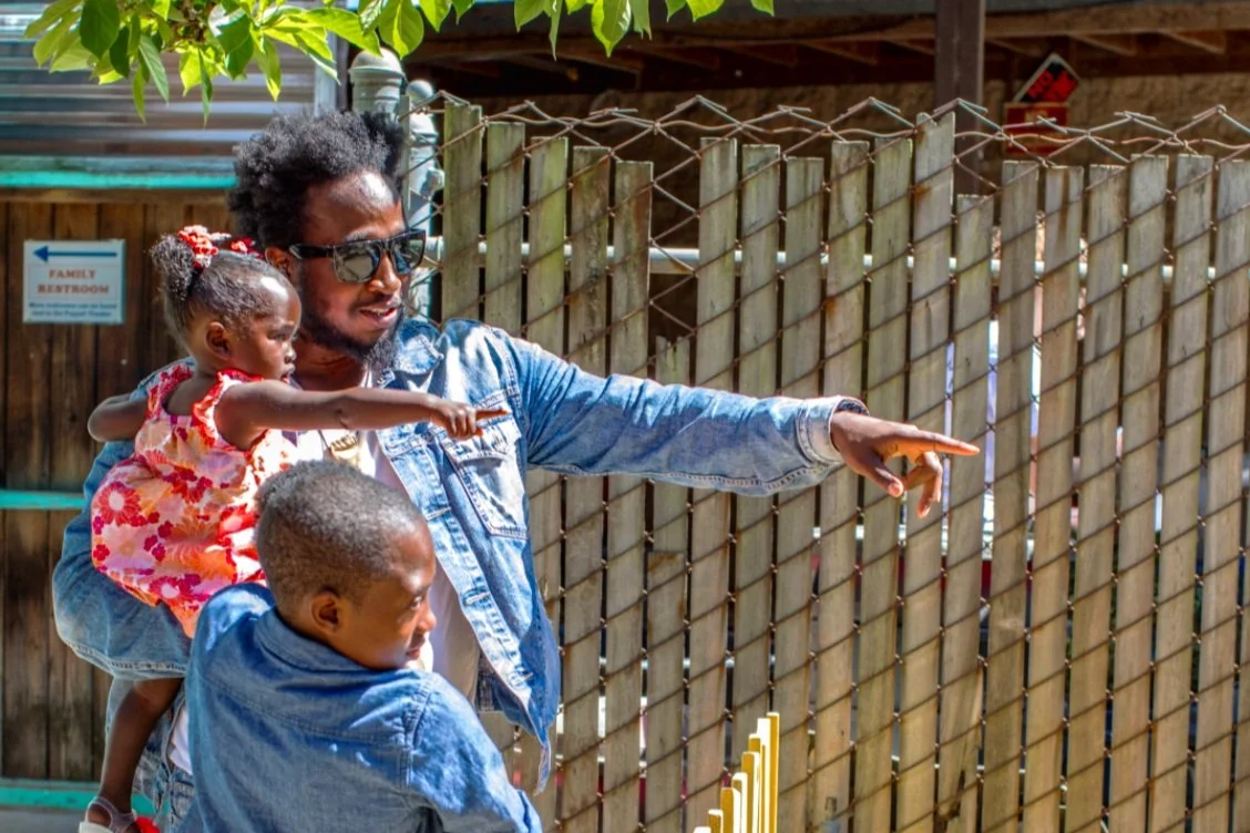 Community Based — Lincoln Families