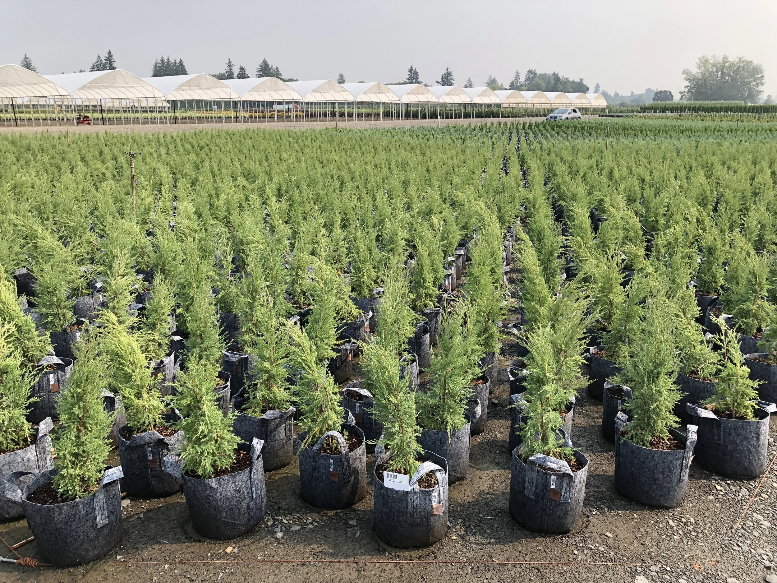 About Us — Root Pouch