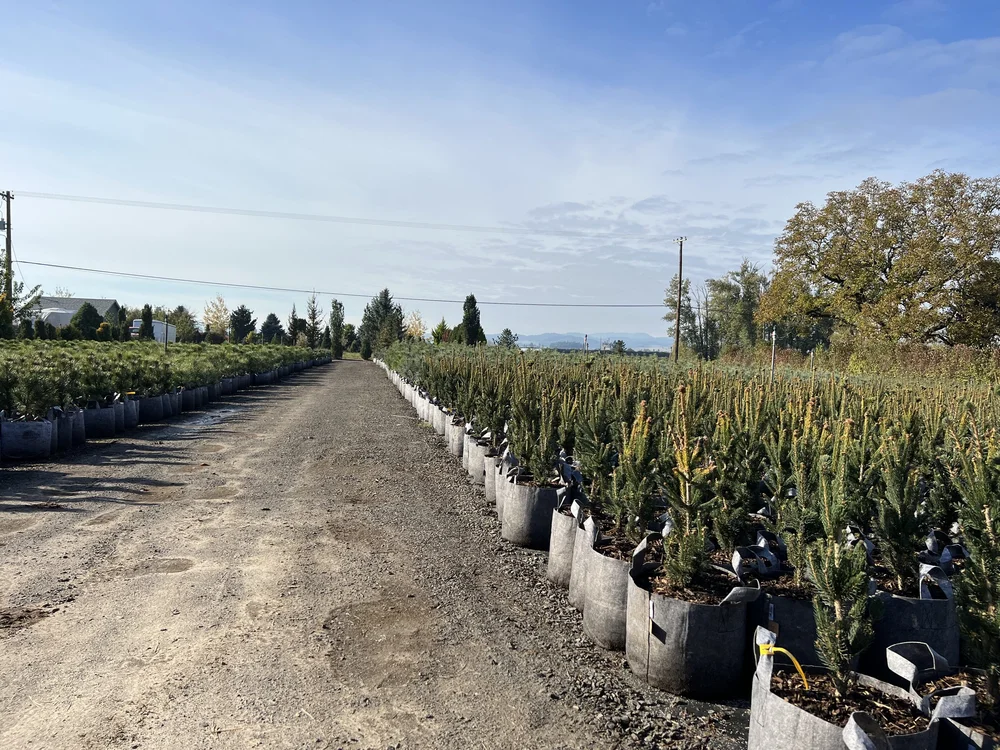 Root Pouch Commercial Grey — Root Pouch