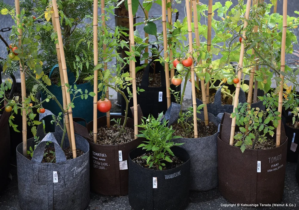 Home Gardening — Root Pouch