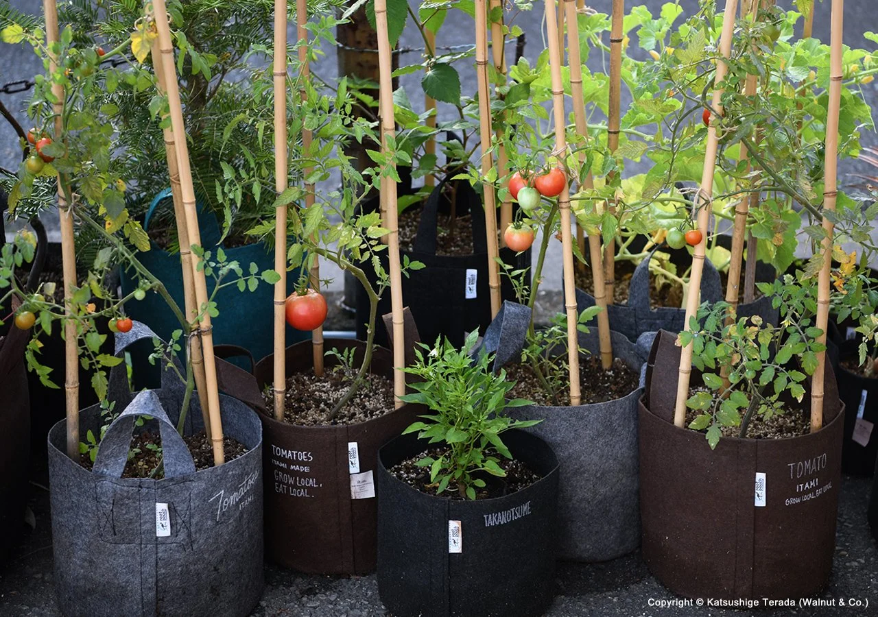 Home Gardening — Root Pouch