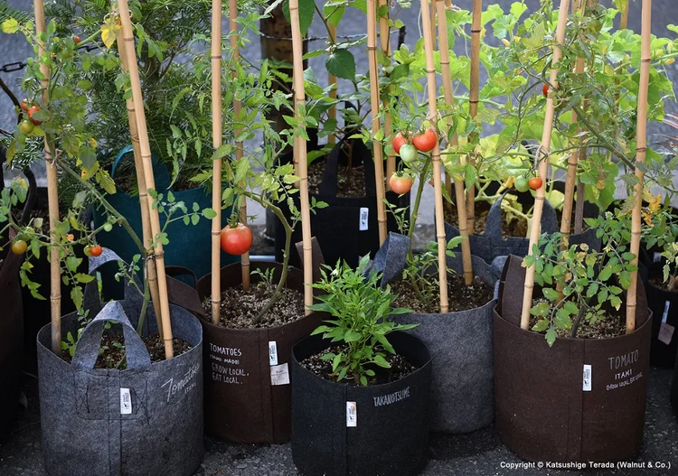 Home Gardening — Root Pouch